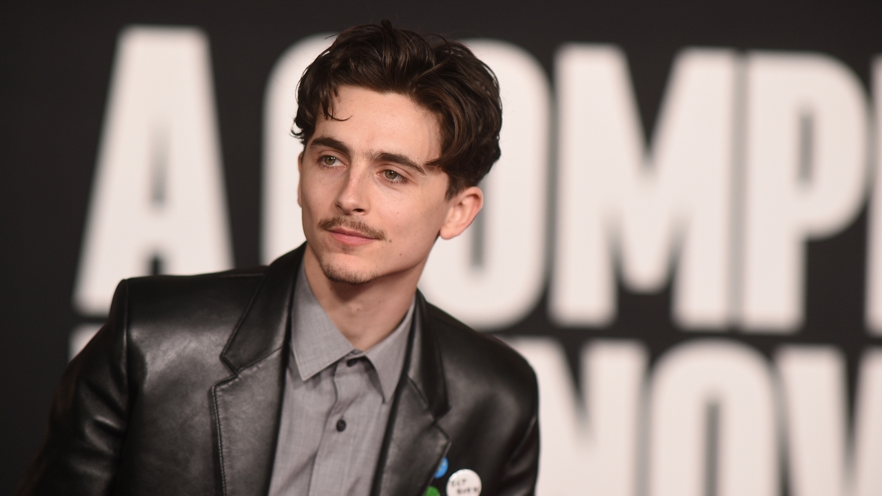 How Timothée Chalamet transformed into Bob Dylan - Newsday