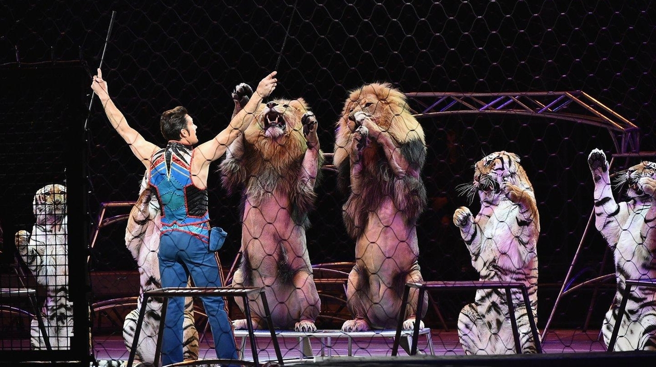 New Nassau Coliseum offering loaded family lineup of shows - Newsday