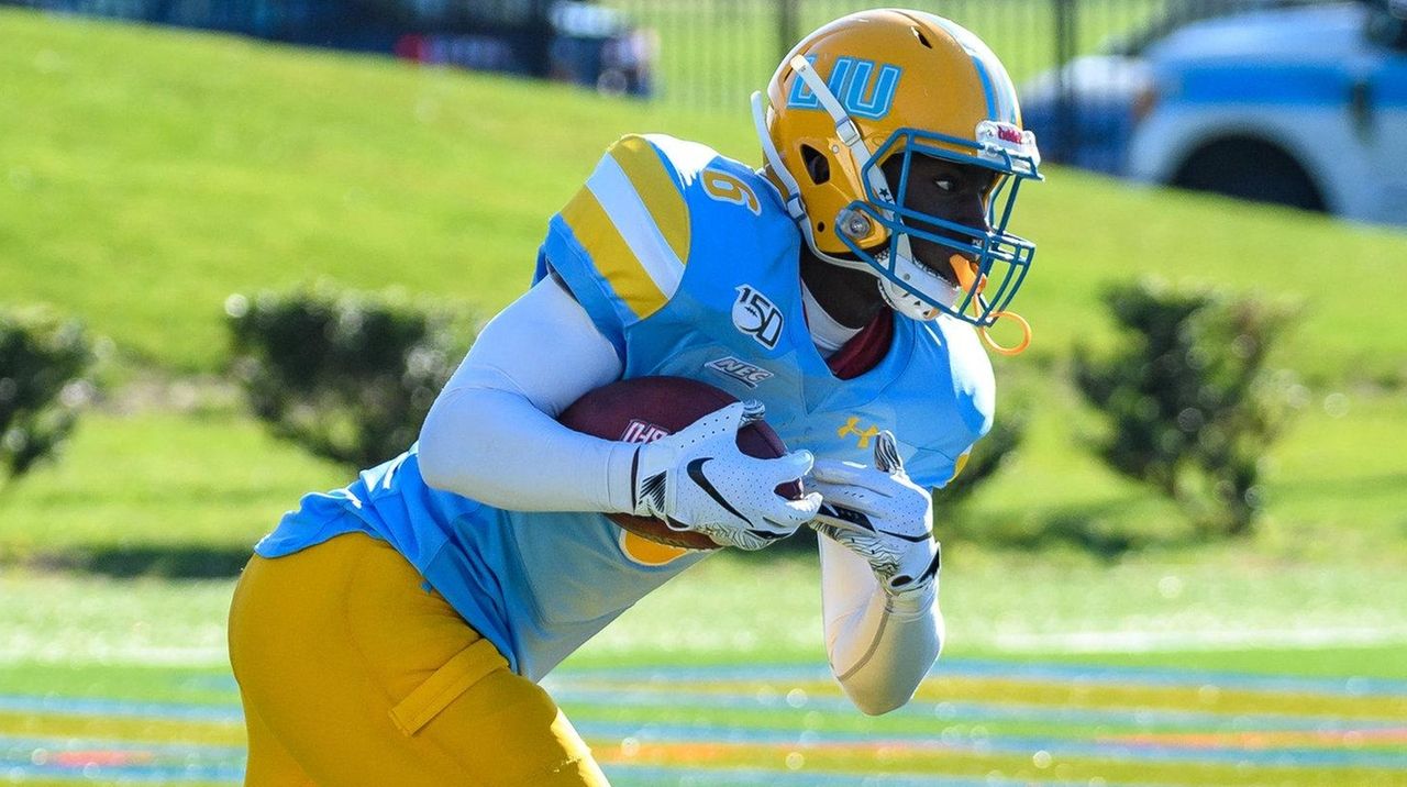 LIU ends conference play with loss to RMU - Newsday