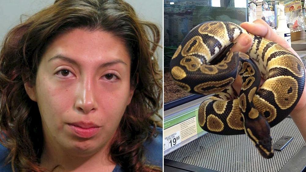 Python around a woman's neck after crash, not in a usual day's work for ...