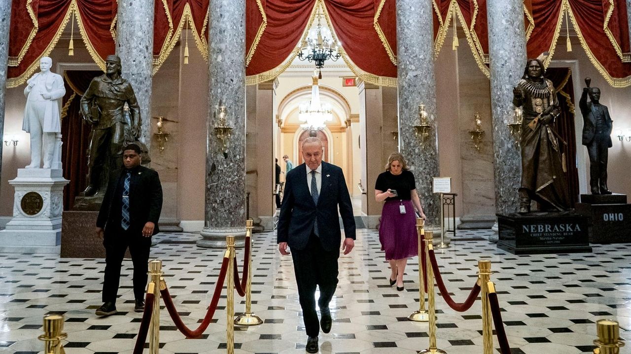 NY's Chuck Schumer pledges to fight President Donald Trump amid ...