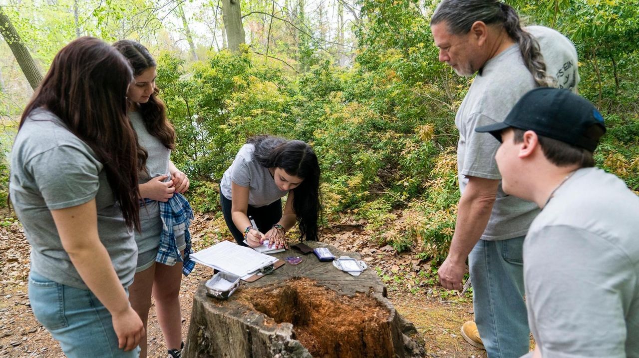 Letterboxing turns your family outing into a treasure hunt - Newsday