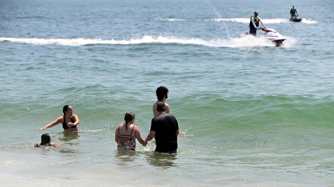 Suffolk adds drones, watercraft to shark-sighting fleet - Newsday