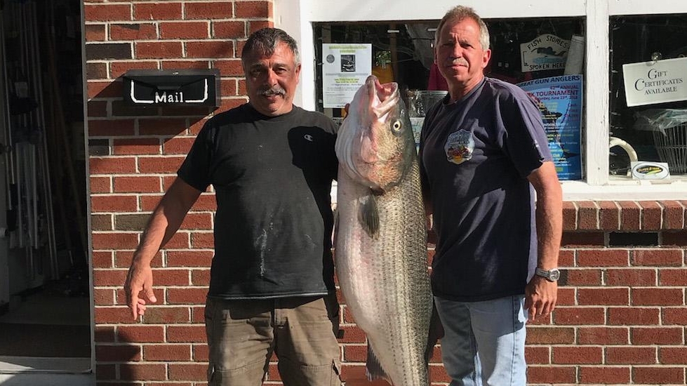 Angler loses 400-pound tuna after a mysterious gulp - Newsday