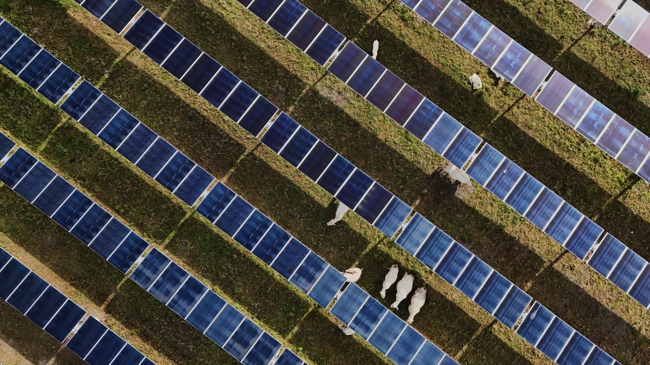 Solar power hits new milestones in the US even as Trump boosts coal ...