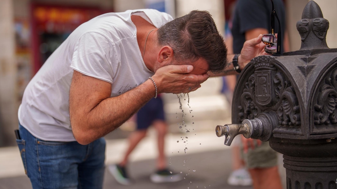 Here's how to avoid heat-related illnesses and stay cool this summer ...