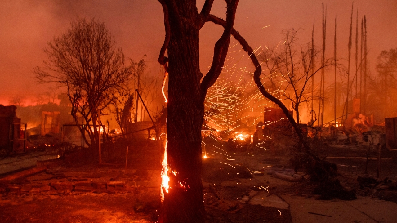 Small airborne embers play a big role in the spread of wildfires - Newsday