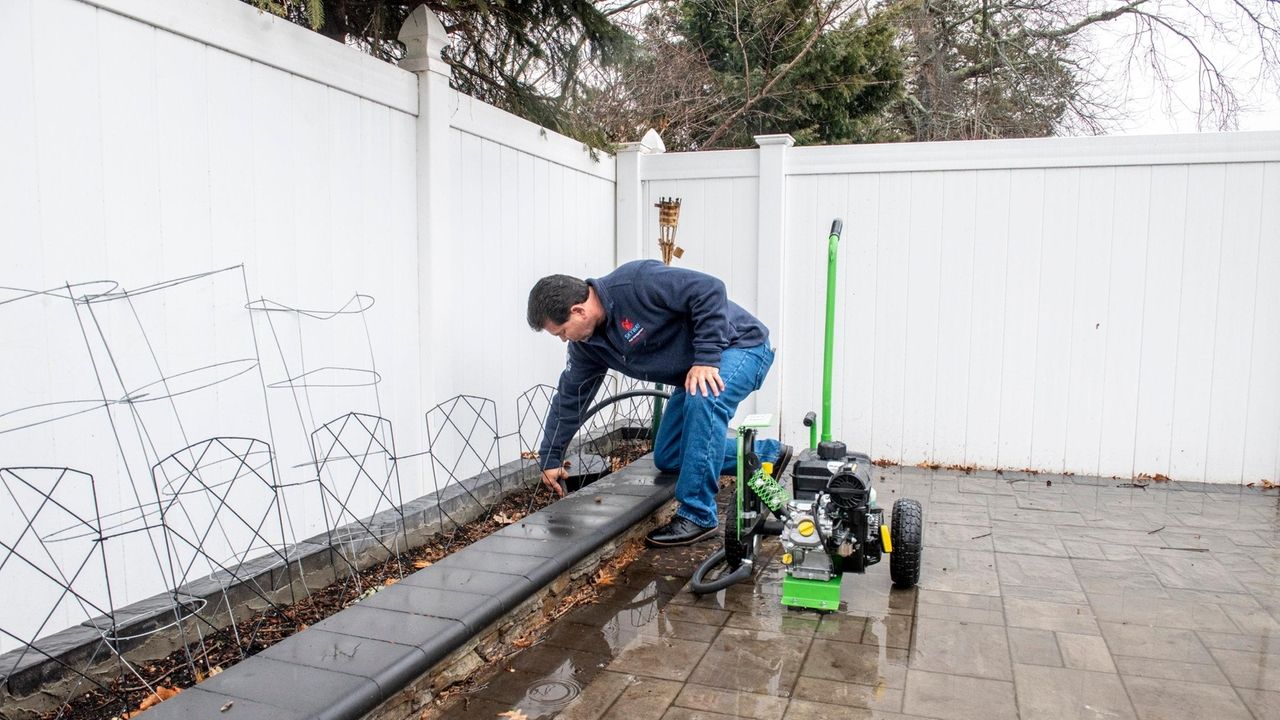 How to get rid of mice, rats and other rodents with new pest-control ...