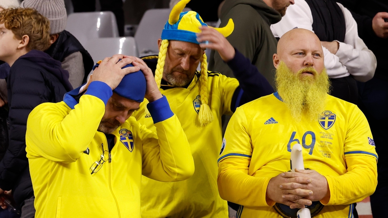 Sweden's soccer fans to be advised against wearing national team ...