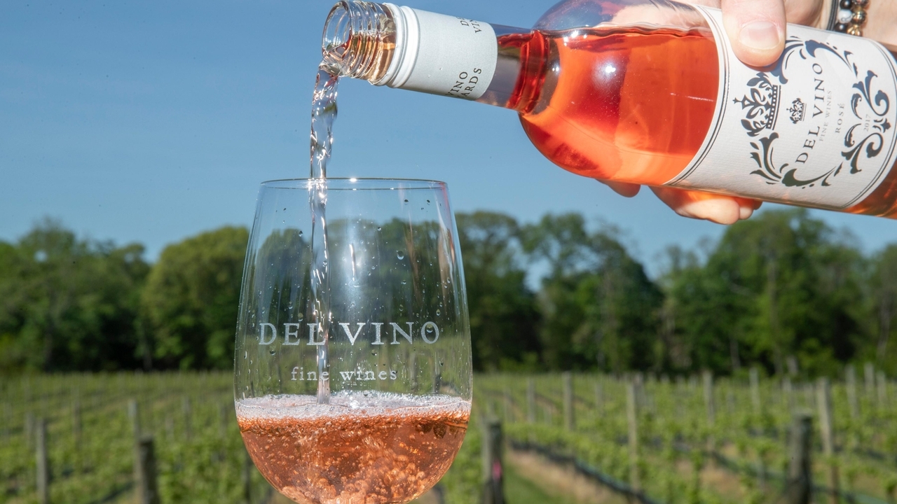 Northport's Del Vino Vineyards takes over Riverhead farm - Newsday