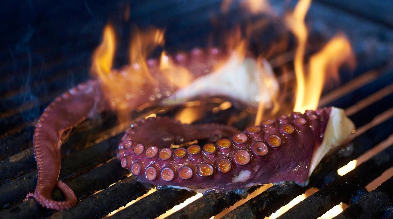 Getting to know Long Island's Octoman - Newsday