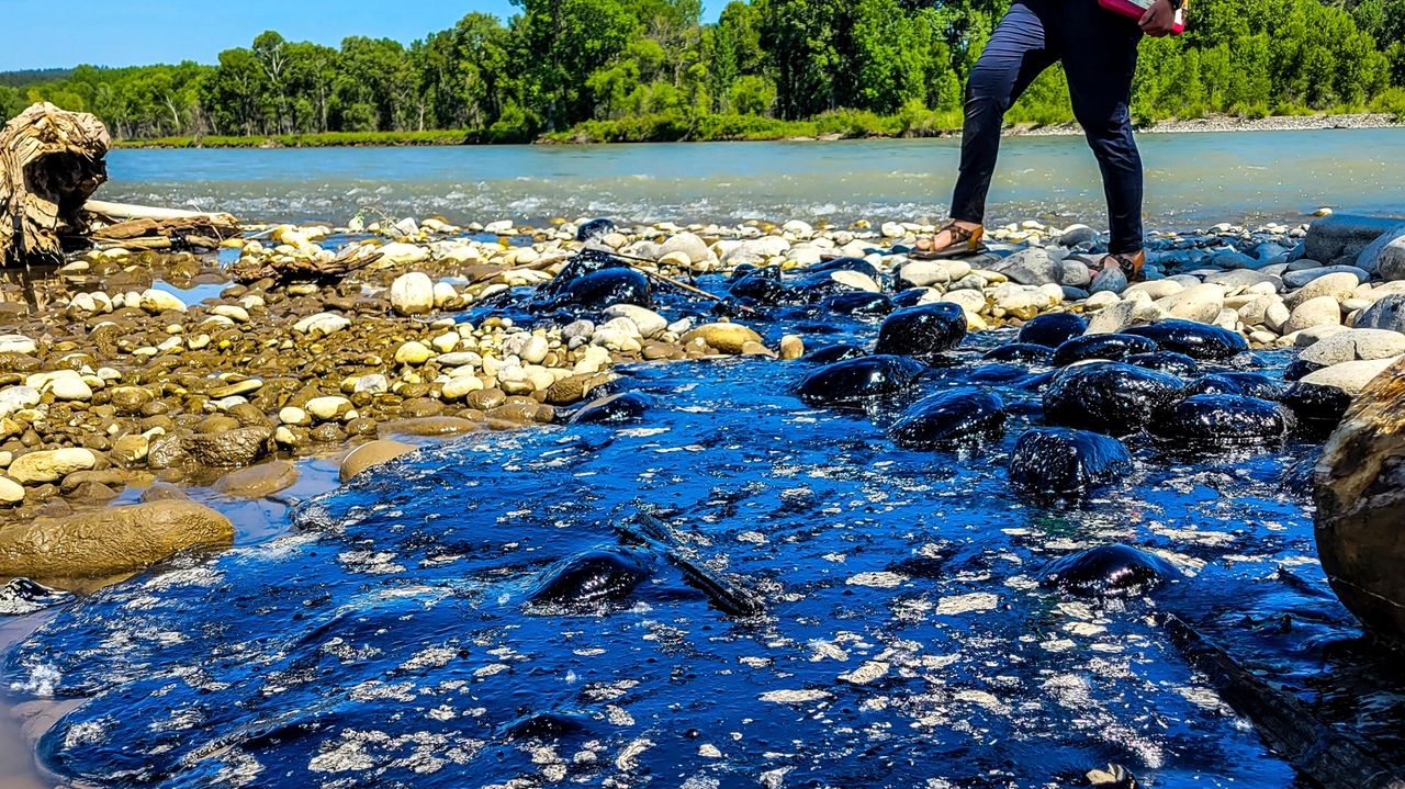 Cleanup begins after asphalt binder spill into Montana's Yellowstone ...