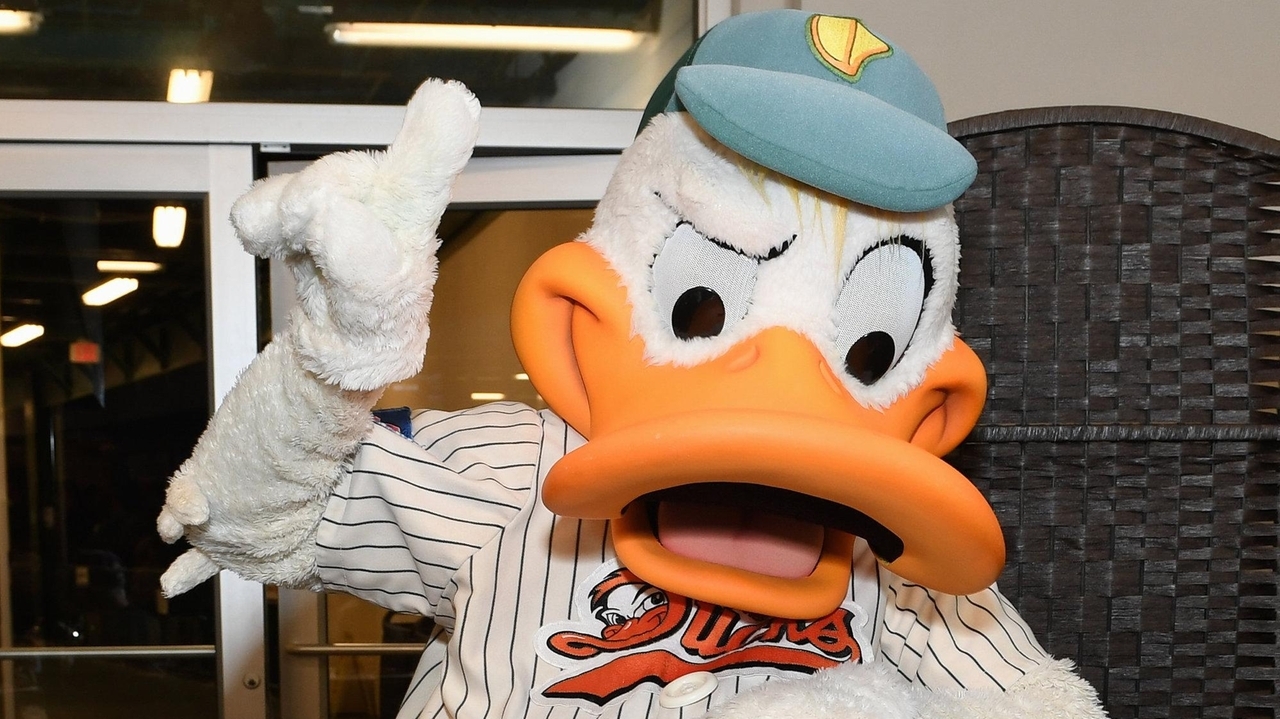 LI Ducks won't play a 2020 season - Newsday