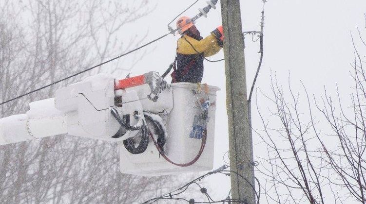 PSEG Long Island: Power restored to nearly all after storm - Newsday