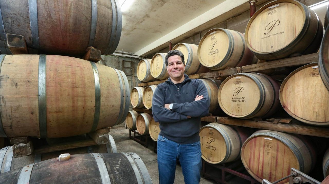 Long Island wine country at 50: New wineries, new grapes, high-tech ...