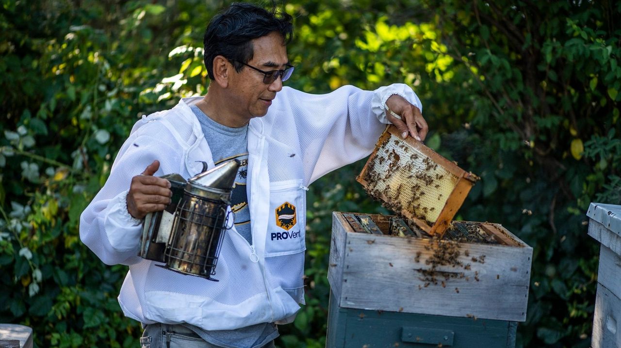 Honeybee Festival returns to Garden of Eve Organic Farm & Market in ...