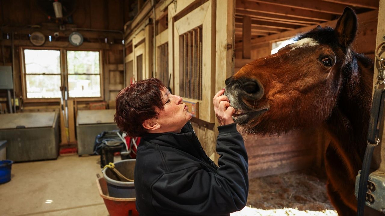 Southampton Police Lt. Susan Ralph adopts retired police horses, plans ...