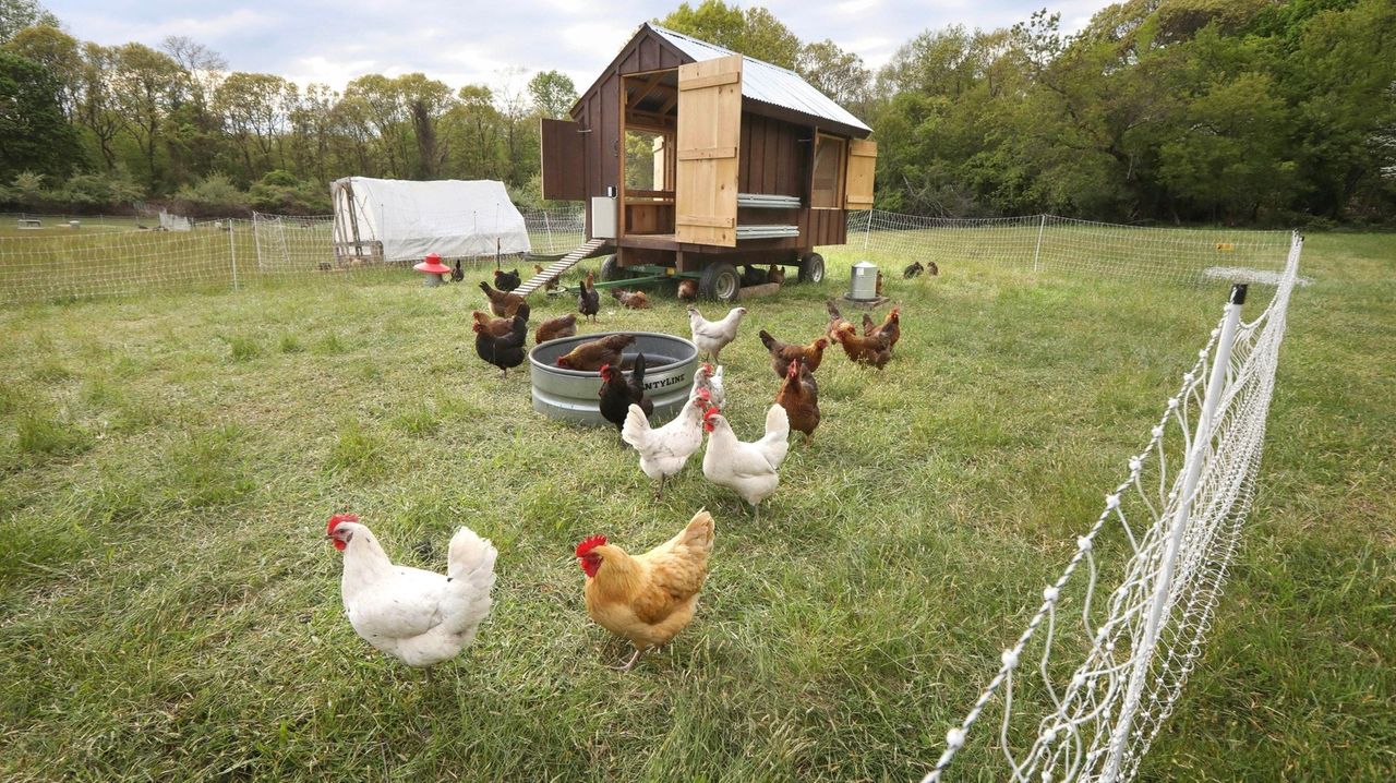 Birdsfoot, among the newest farms on Long Island, wins site plan ...