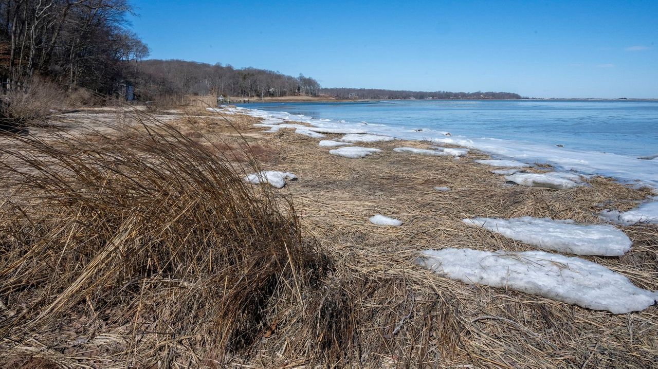 Can oysters filter nitrogen from local waterways? Boston University ...