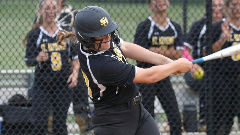 CHSAA/Private school softball team-by-team overview - Newsday