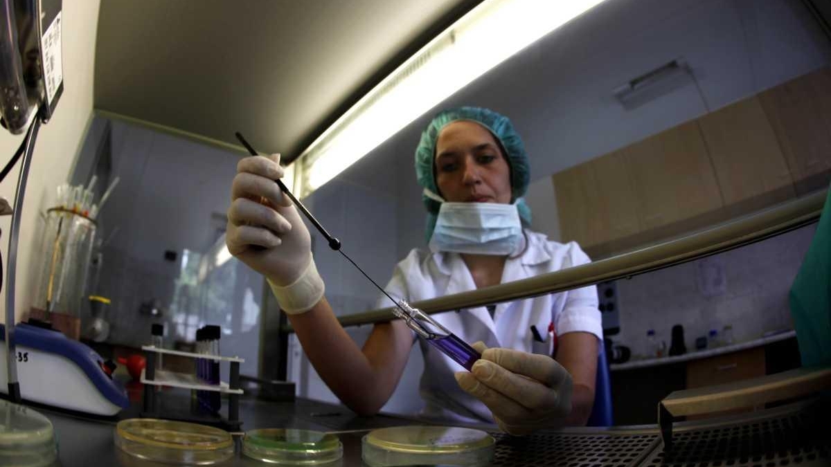 Scientists: German sprouts caused E. coli outbreak - Newsday