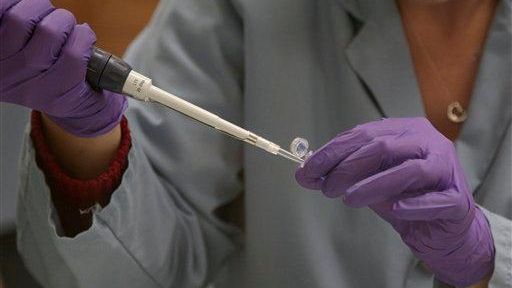 At Cold Spring Harbor Laboratory, new insights into rare genetic ...