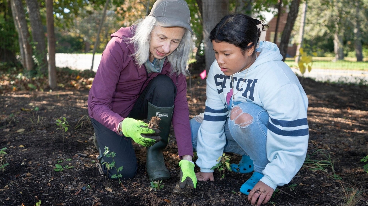 Southold students, civic groups help root out invasive plants, restore ...