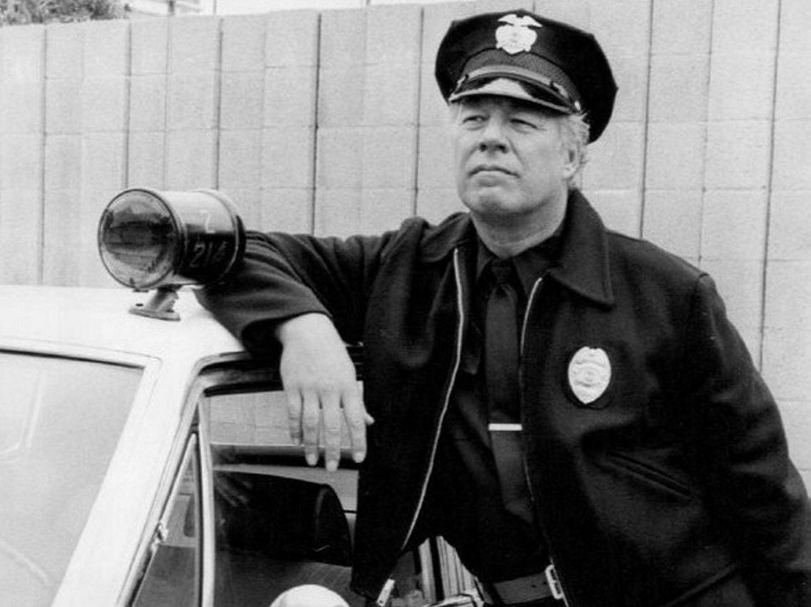 ‘The Blue Knight,’ ‘Knight Rider,’ more shows about knights - Newsday
