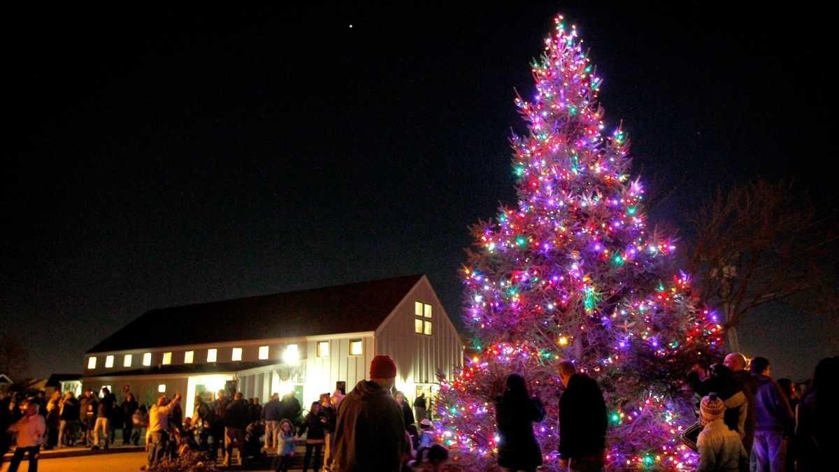 It's Christmas: Mount Sinai tree lighting - Newsday