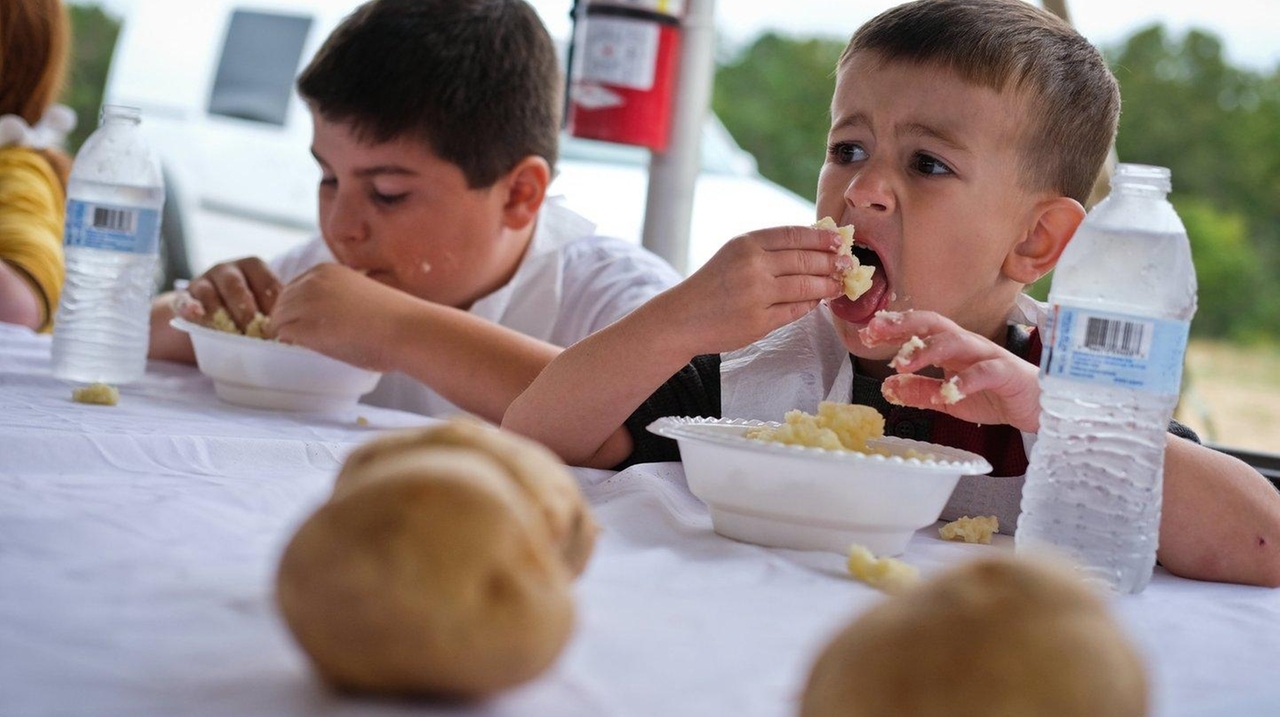 Potato Festival celebrates an industry that has all but vanished - Newsday