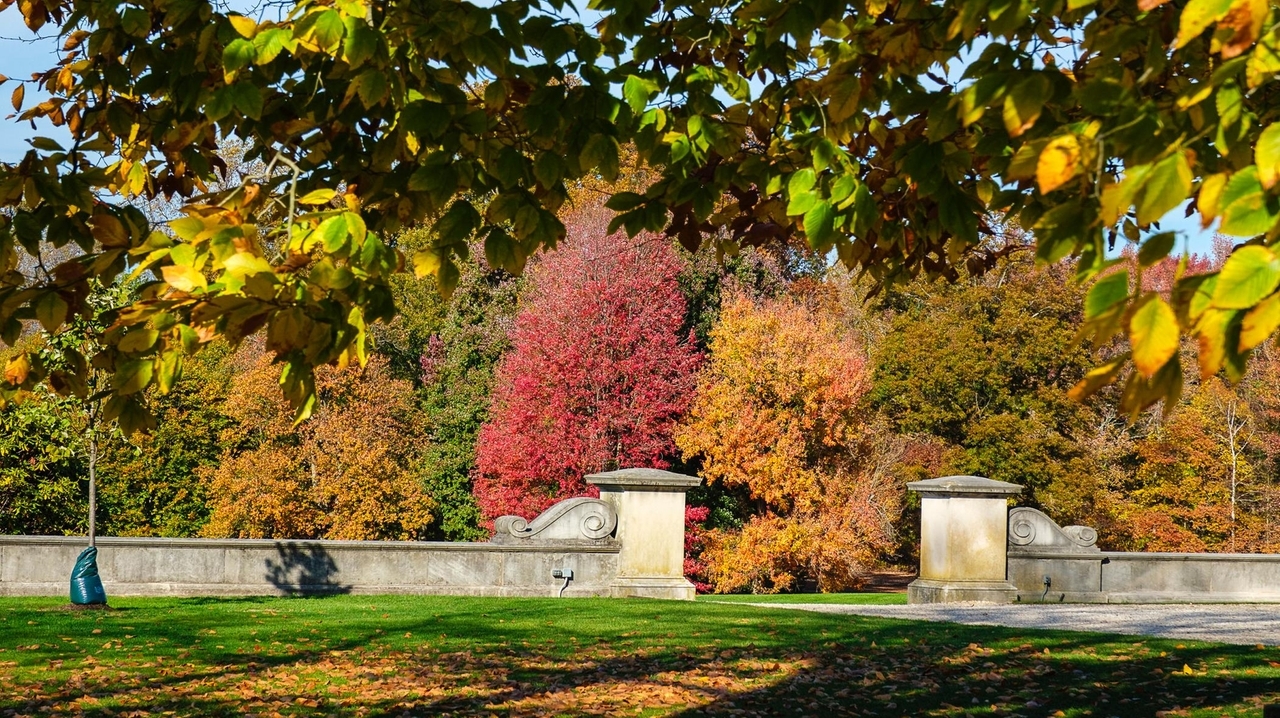 Peak fall foliage on view on Long Island, experts say - Newsday