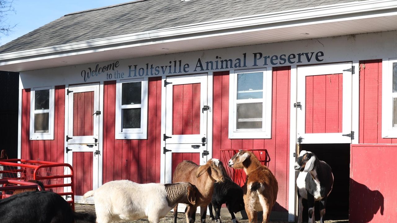 Suffolk DA to investigate allegations of animal neglect at Holtsville ...