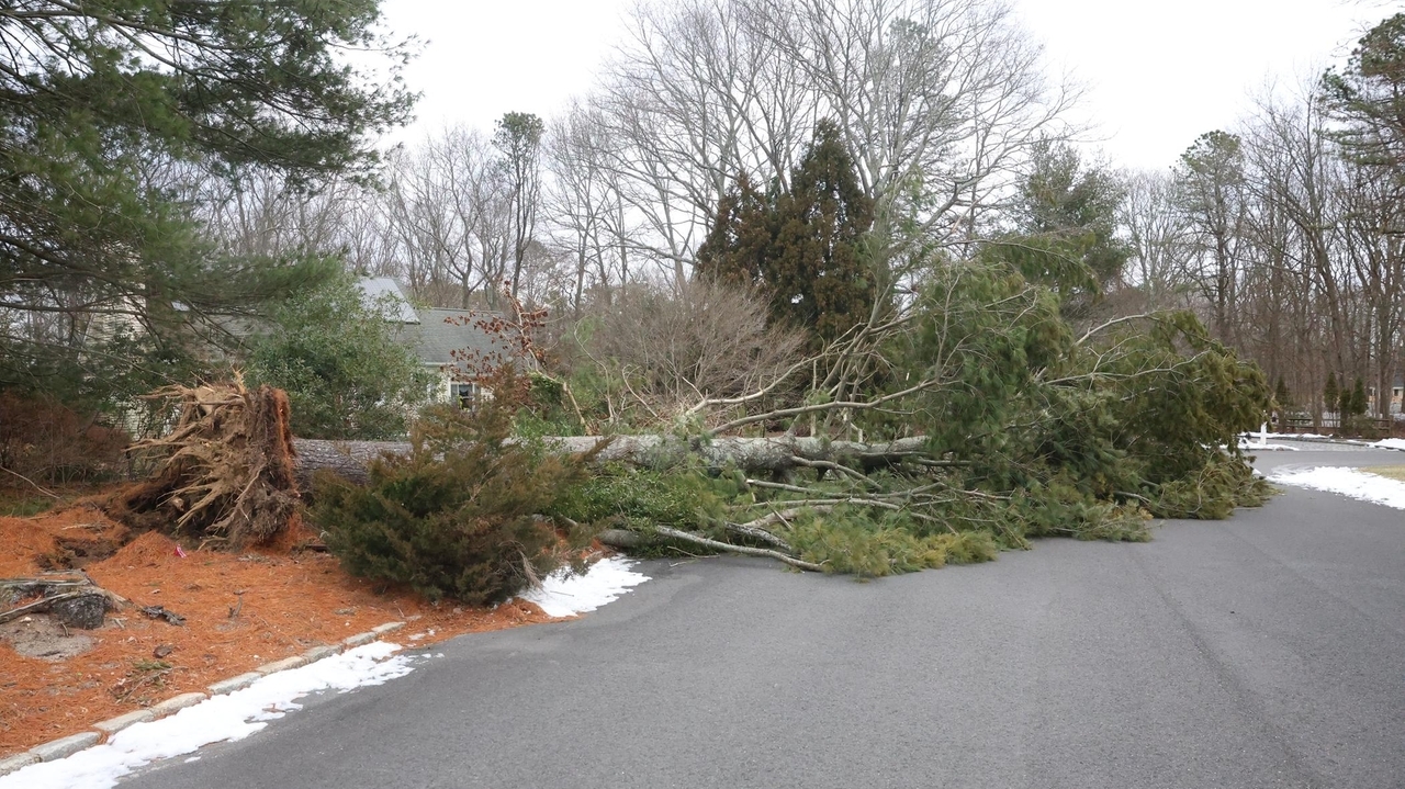 High winds expected through Tuesday; wind chills in the teens - Newsday