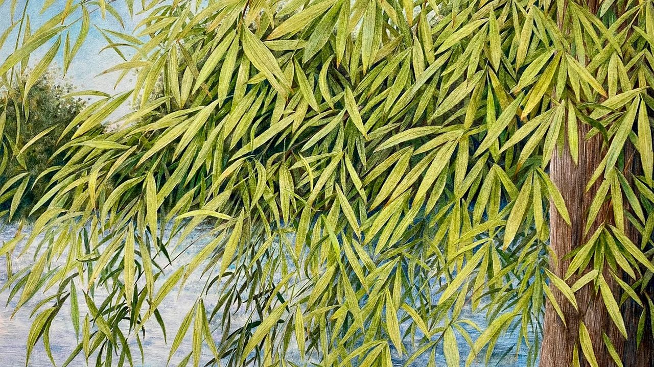 Music Review: Martin Simpson and Thomm Jutz revive folk songs on ...