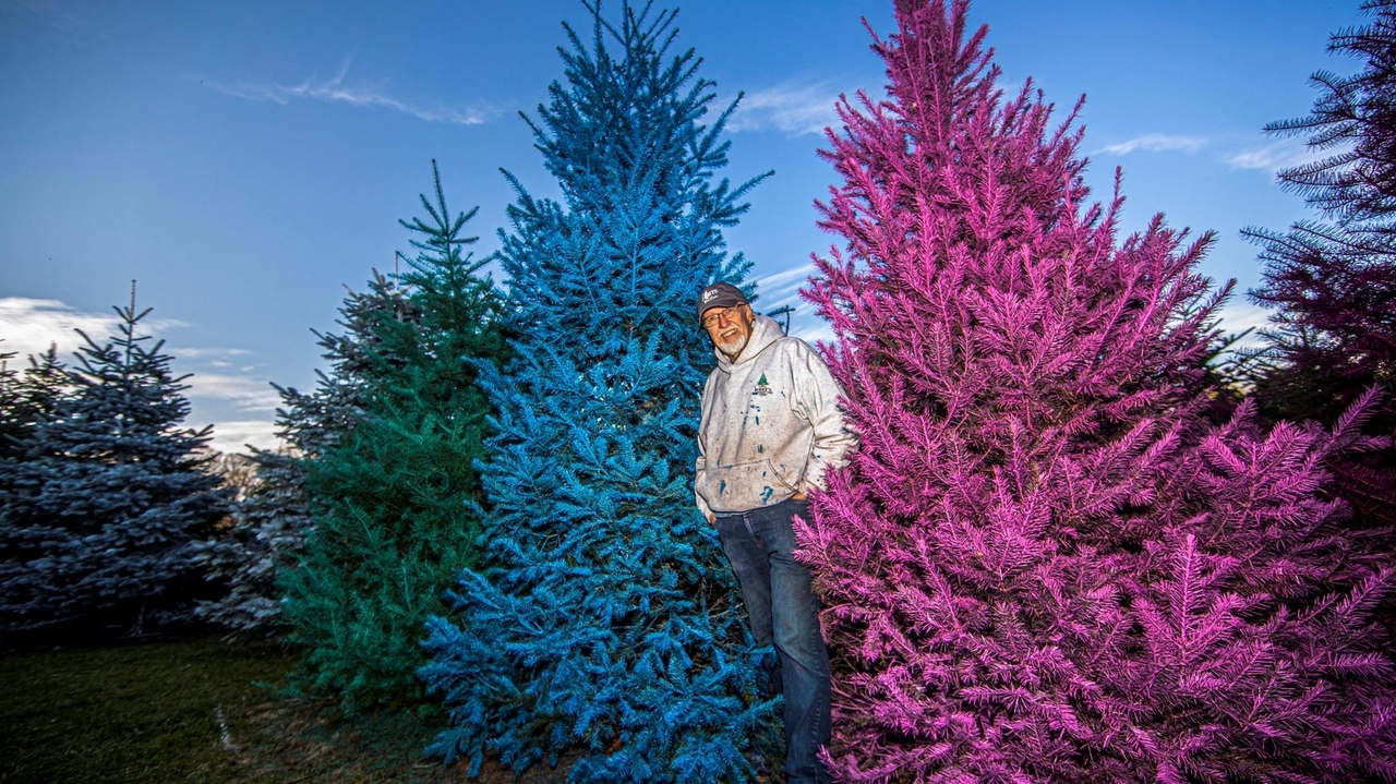 Dart's Christmas Tree Farm to close after more than 50 seasons in ...
