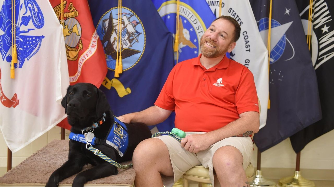 Navy veteran finds new hope in wiggly Labrador service dog trained to ...