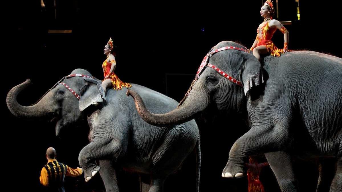 'Fully Charged': Here comes the circus - Newsday