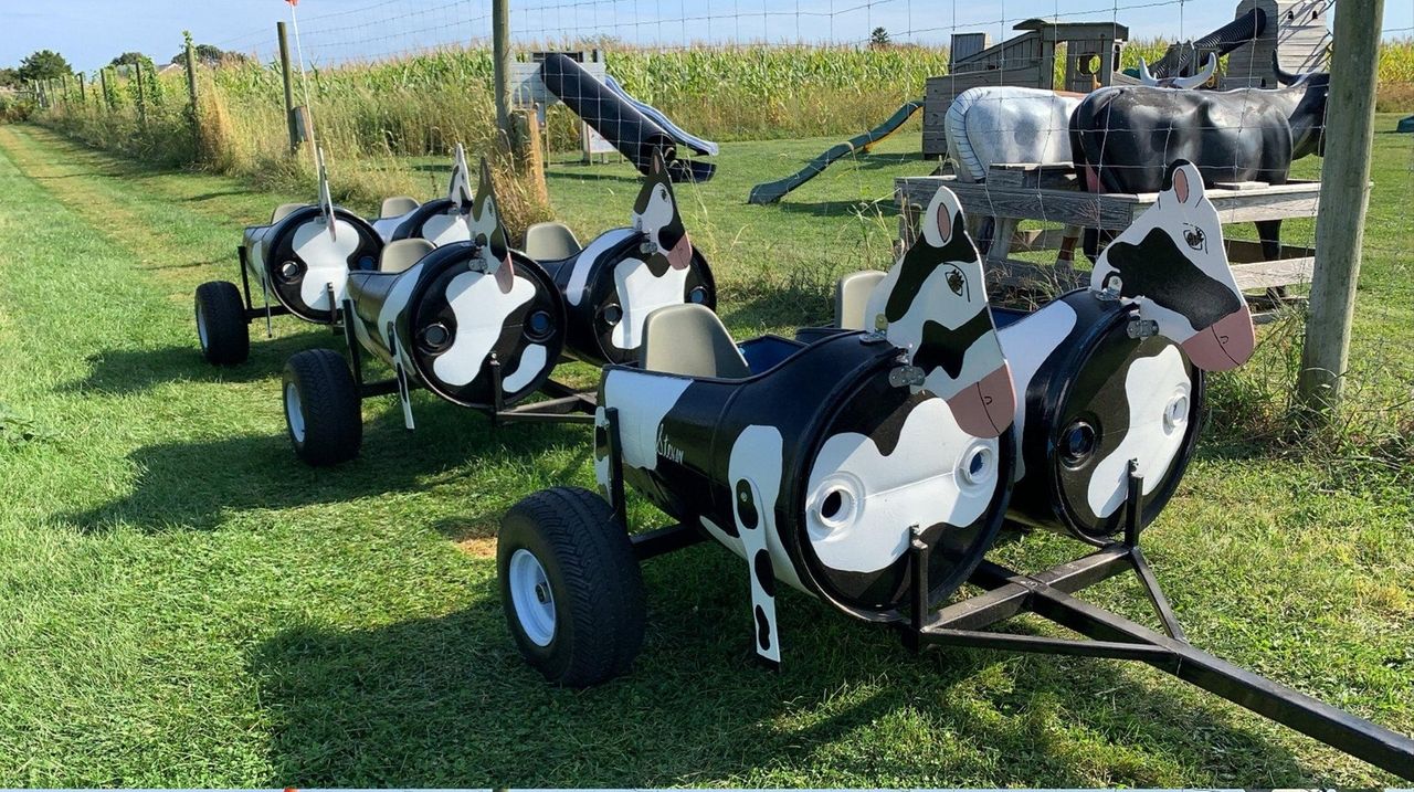 'Cow train' comes to Seven Ponds Orchard in Water Mill - Newsday