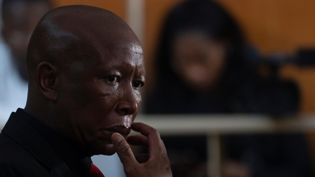 South African politician Julius Malema sentenced to 5 years for firing ...