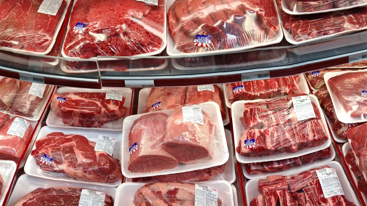 More beans and less red meat: Nutrition experts weigh in on US dietary ...