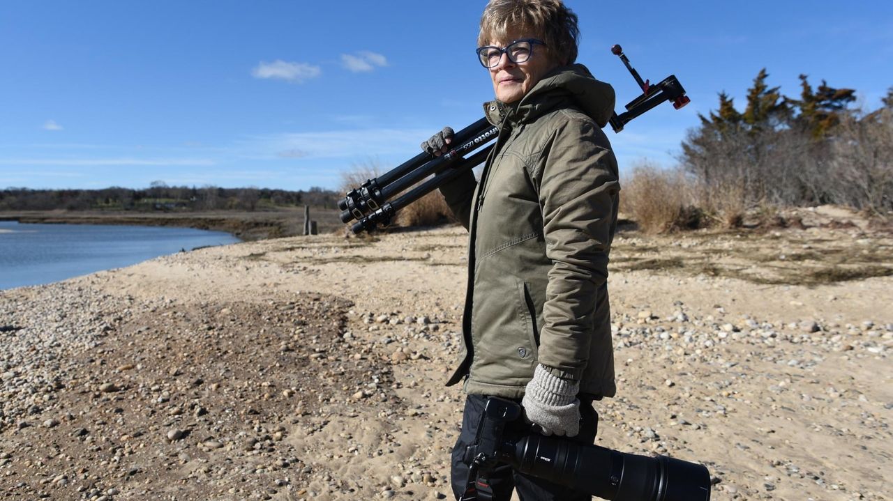 Camera clubs on Long Island: Taking your photography to the next level ...