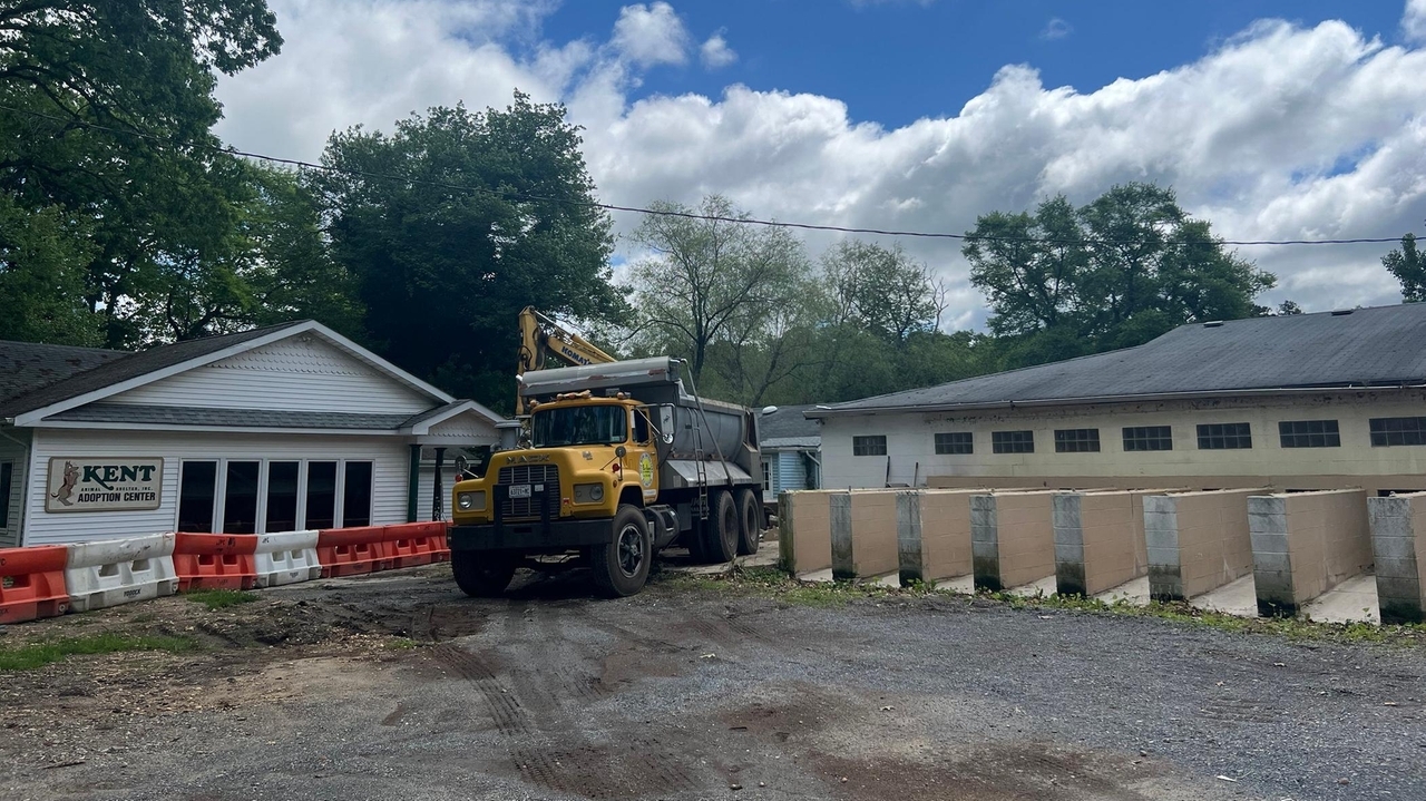 Kent Animal Shelter renovations will expand space for dogs - Newsday
