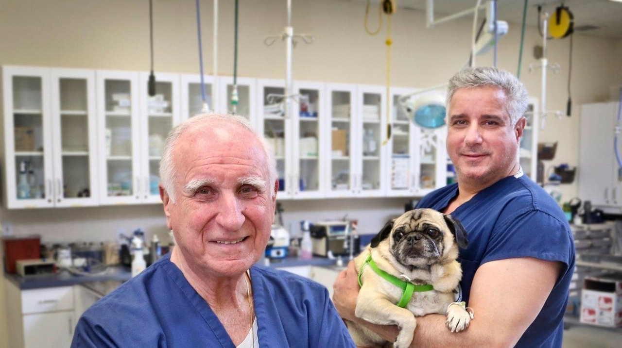 Retired pediatrician training to be a veterinary technician - Newsday