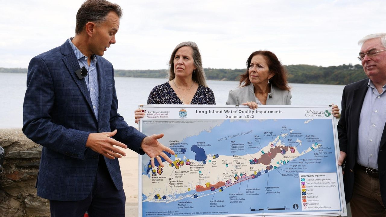 Record-setting summer fish kills this summer on LI - Newsday