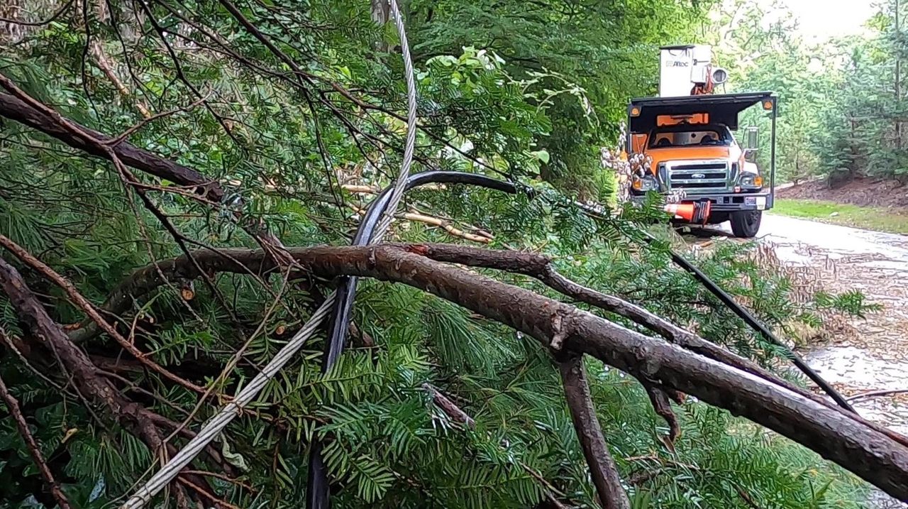 LI storm outages down sharply, but outrage at PSEG remains - Newsday