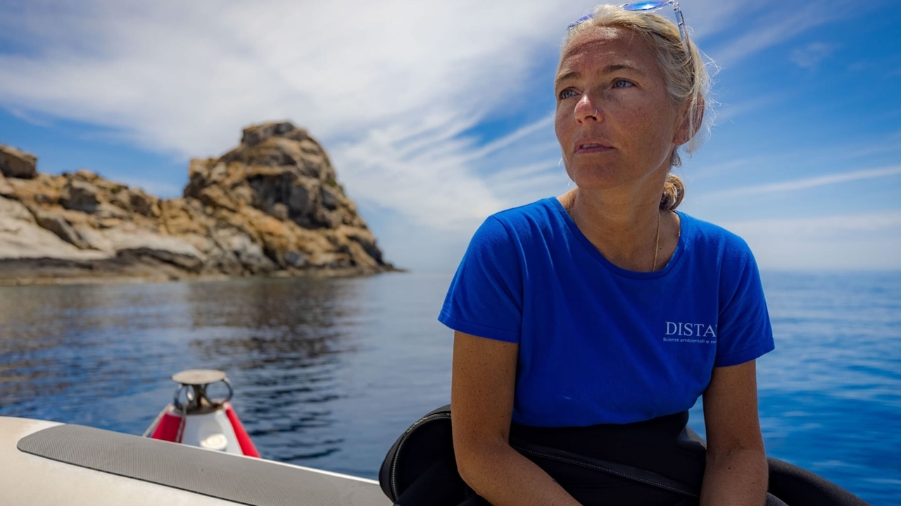 Search for bodies of Italian divers in Maldives cave suspended due to ...