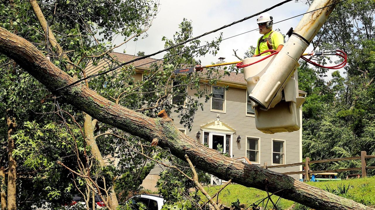 Musings: Dead limb waits, PSEG shrugs - Newsday