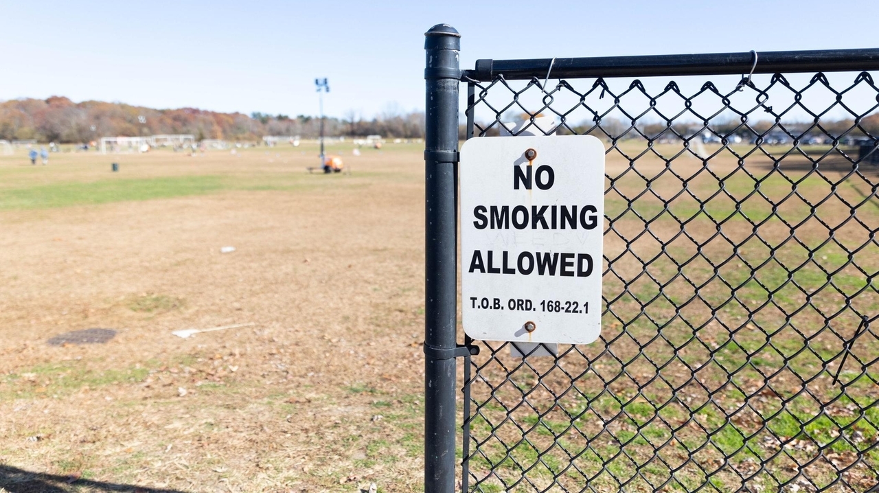 Oyster Bay plans to build dog park at Stillwell Woods Park in Syosset ...