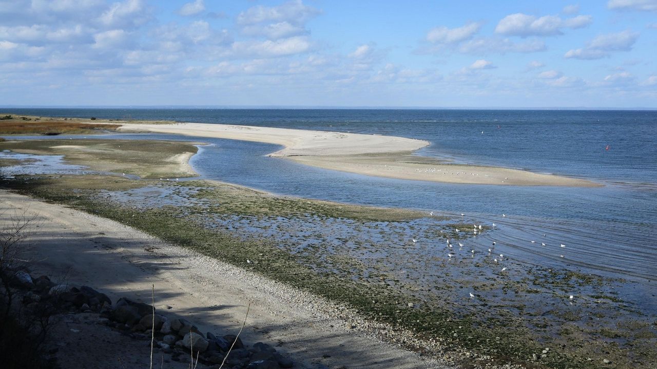 NY groups, municipalities receiving millions to combat Long Island ...