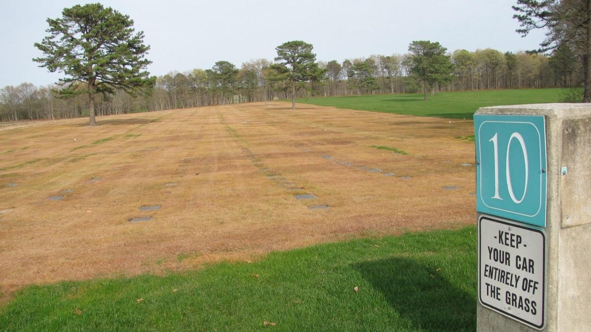 Calverton turf to rise again - Newsday